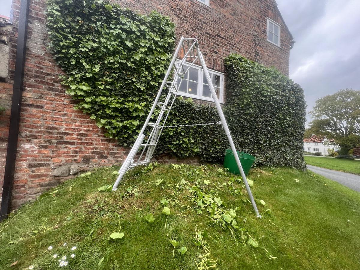 Which Tripod Ladder is best for my garden? » Spruce Gardens